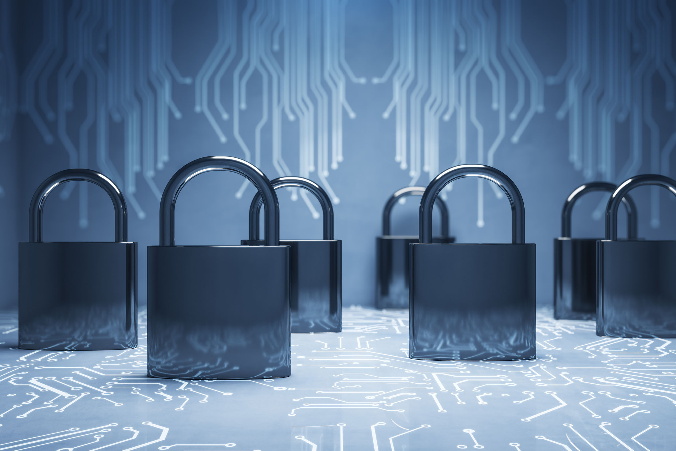 Strengthen Cybersecurity with Vulnerability Management